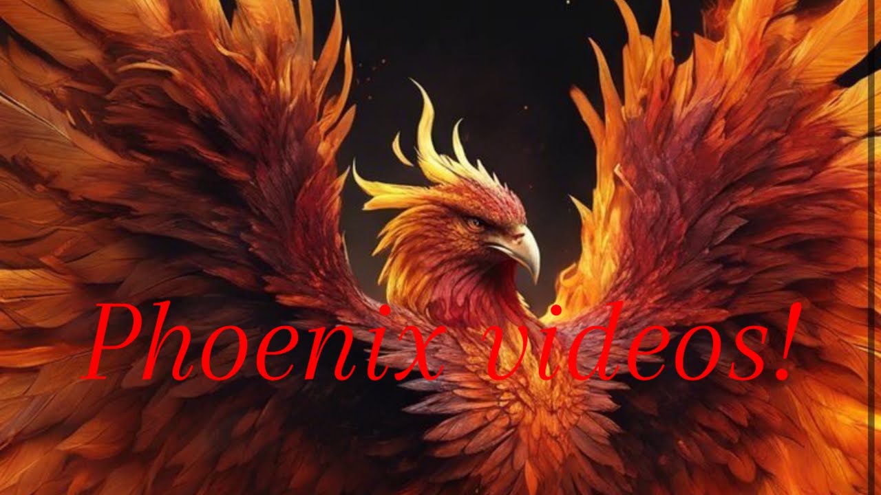 In all of Phoenix videos, Phoenix improved so much! 🔥🐉 - YouTube