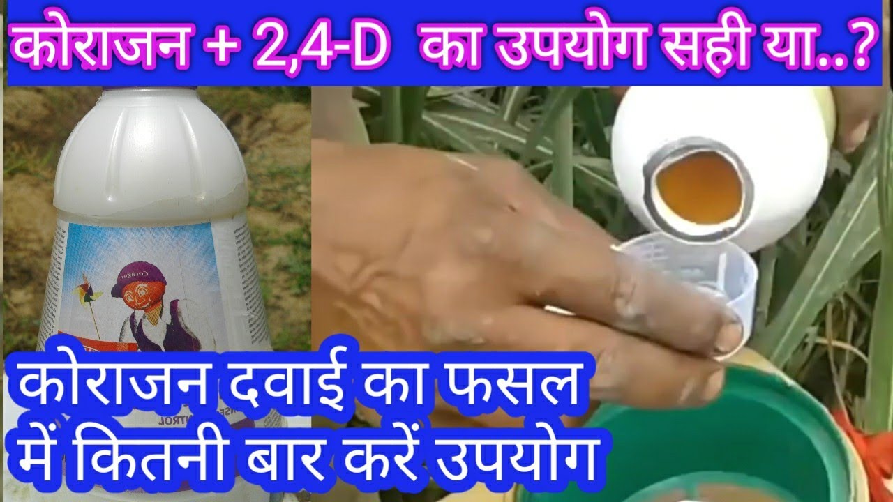 Coragen + 2,4-D spray in sugarcane crop - YouTube