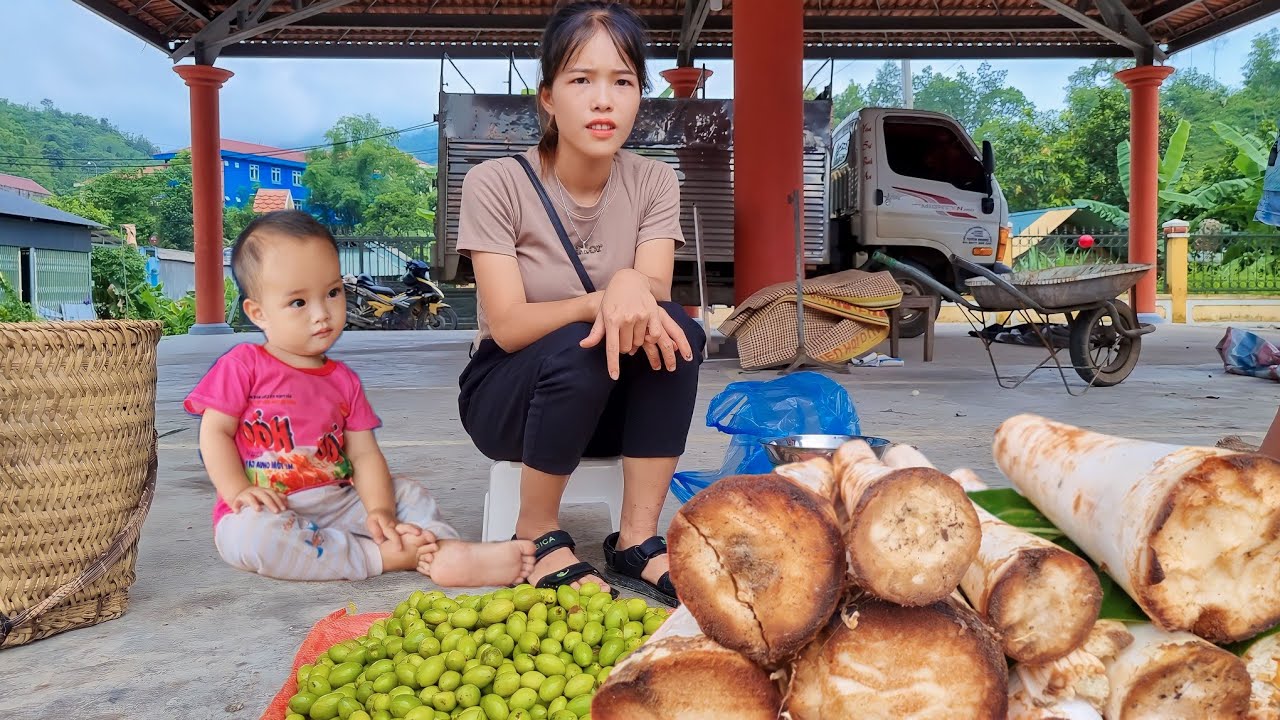 Harvesting natural fruits, forest agricultural products Bringing to the ...