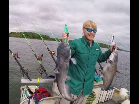 Catfishing new locations on Kerr Lake - YouTube