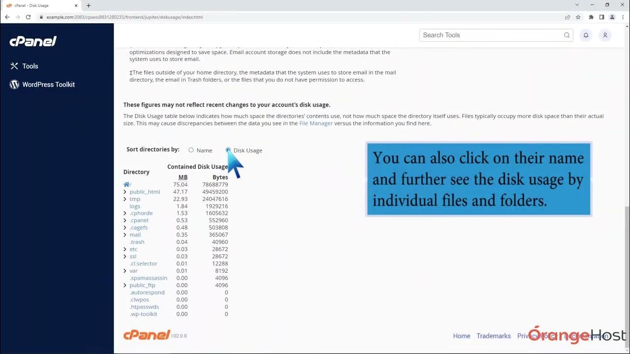 How to check disk usage of directory and bandwidth usage with OrangeHost - YouTube