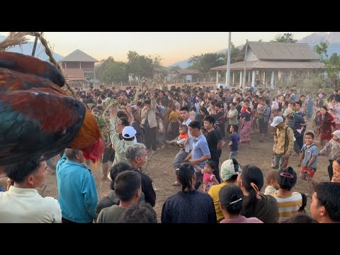 Lwm qaib nkaum toj quas xyoo laus 2024 - YouTube