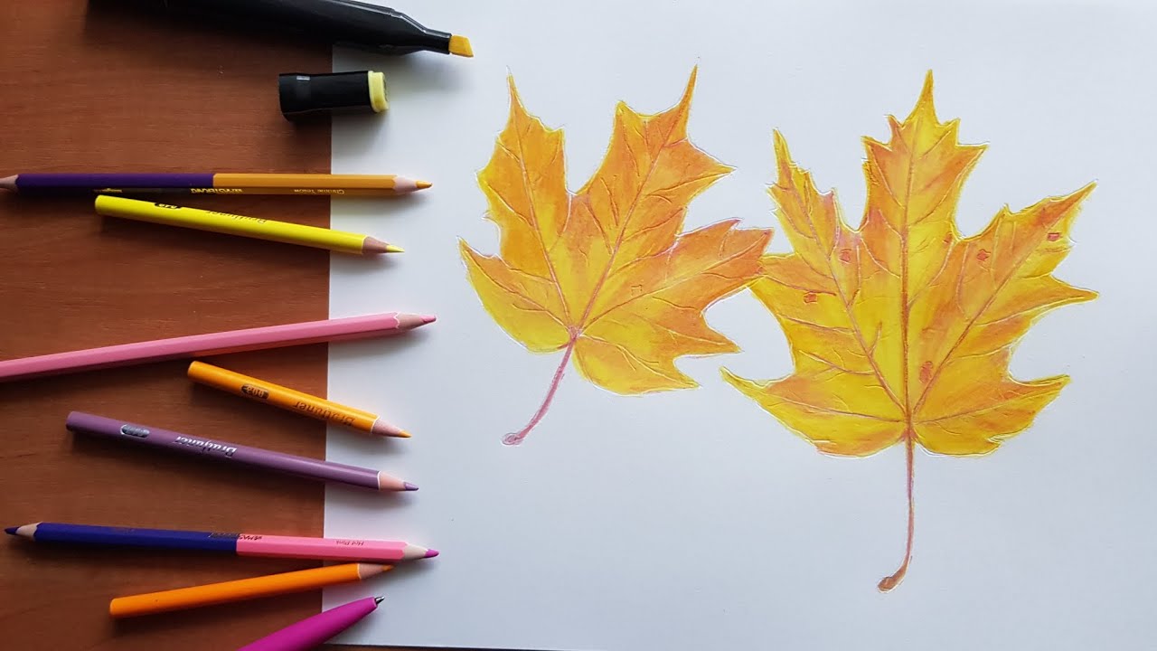 DRAWING MAPLE LEAVES, Colored Pencils Speed Drawing - YouTube