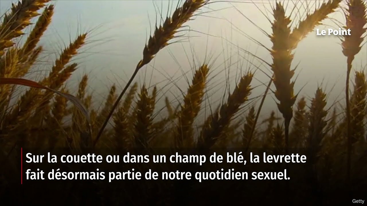 Sexe : la longue histoire de la levrette - YouTube