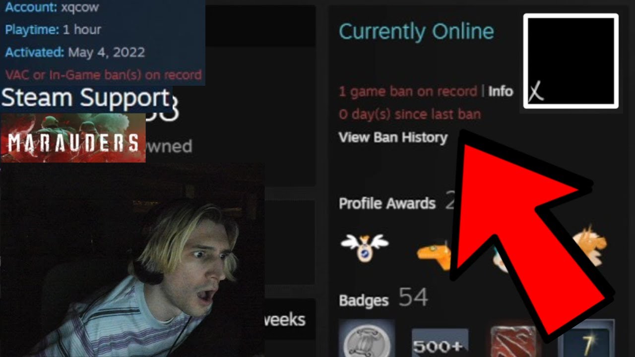xQc Shocked Realizing he Got Banned by Devs on Steam Game & Shows on ...
