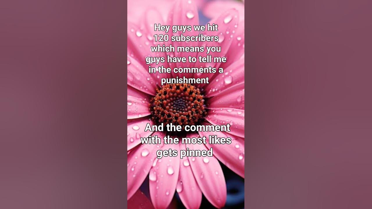 We Hit 120 Subscribers 🎉🎉🎉 Thanks You So Much🤩🤩🤩😊😊😊 Youtube