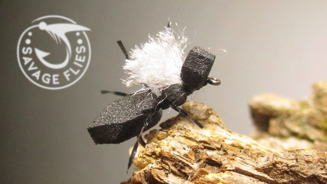 Who doesn’t love easy ant patterns? - YouTube