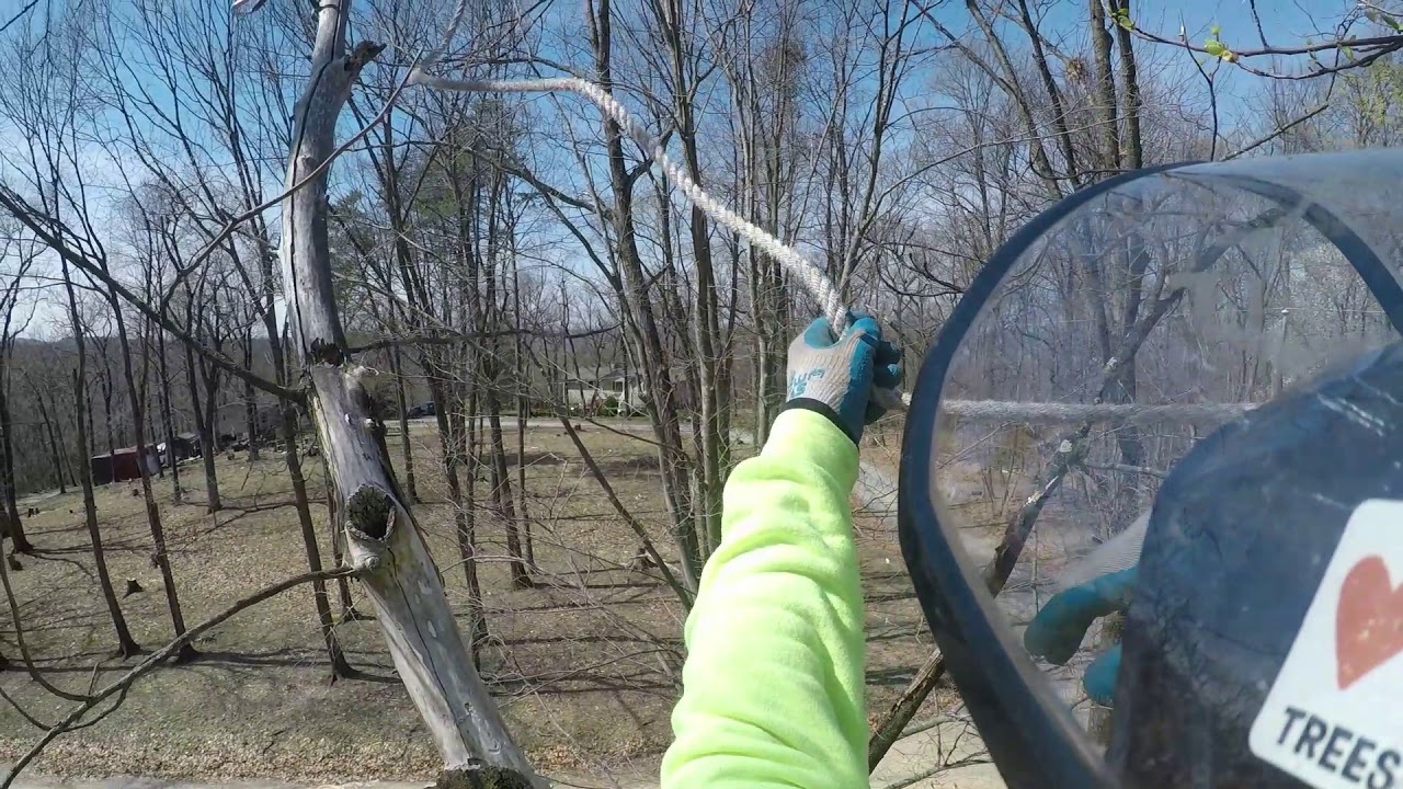 Quick cuts using tip tying, Rigging solo, and few dead ash - YouTube