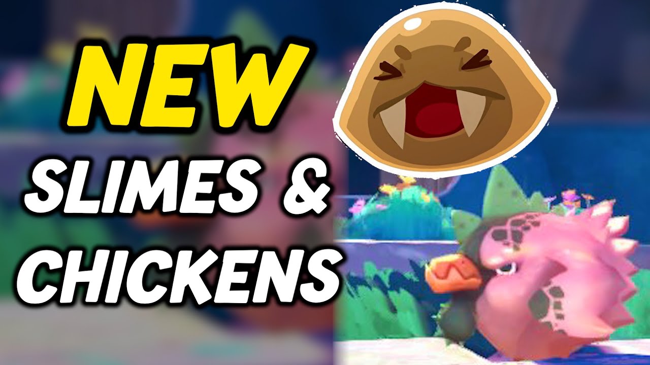 Saber Slime Confirmed In Slime Rancher 2 Along With A New Chicken - YouTube