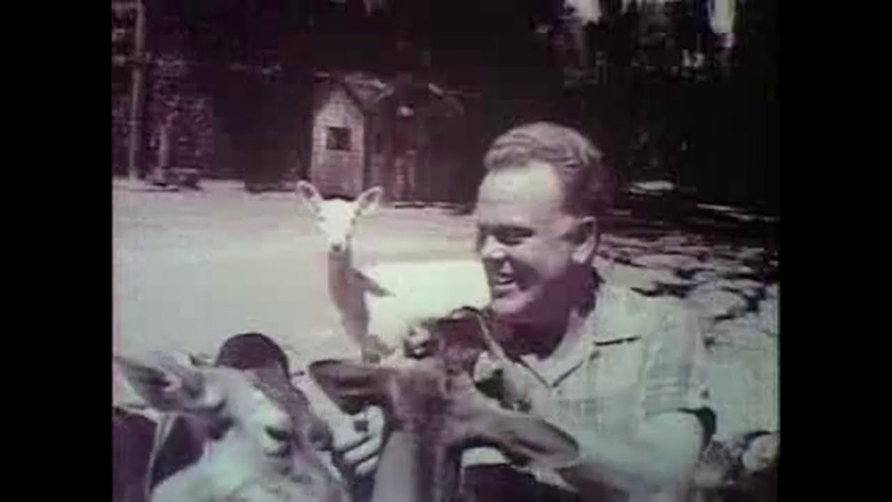 Ross Allen Reptile Institute (circa 1960) - YouTube