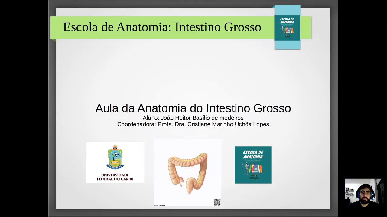 Aula de Anatomia do Intestino Grosso - YouTube