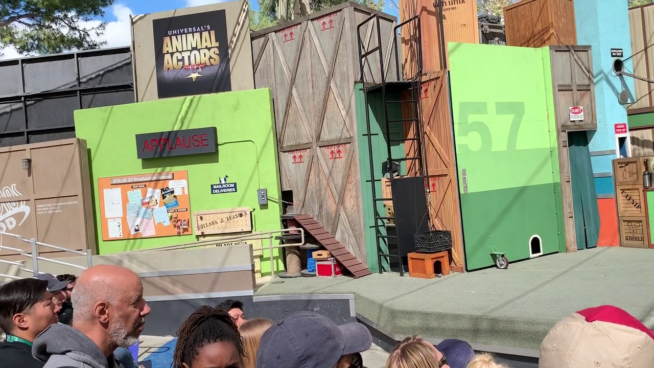 Animal Actors show at Universal Studios, Hollywood March 2019 - YouTube