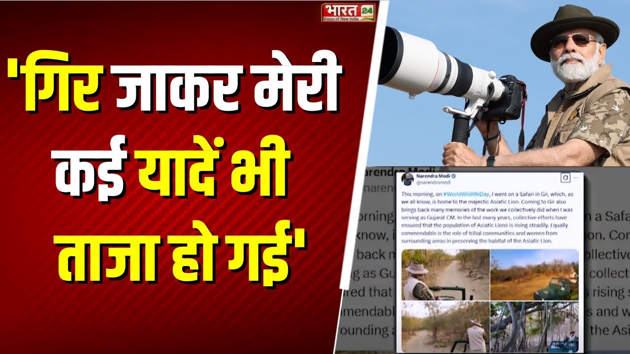 PM Modi in Gujarat : अपनी Gir Jungle Safari को लेकर क्या बोले PM ...
