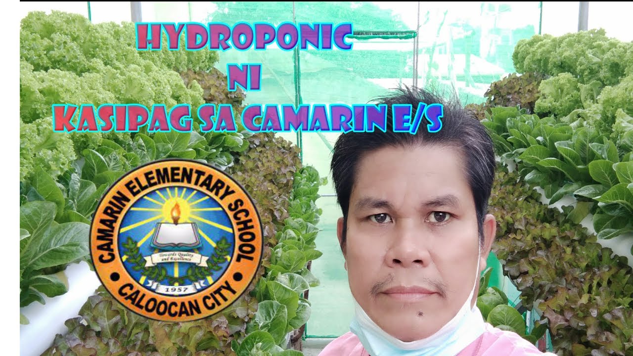 Hydroponics Tutorial - YouTube