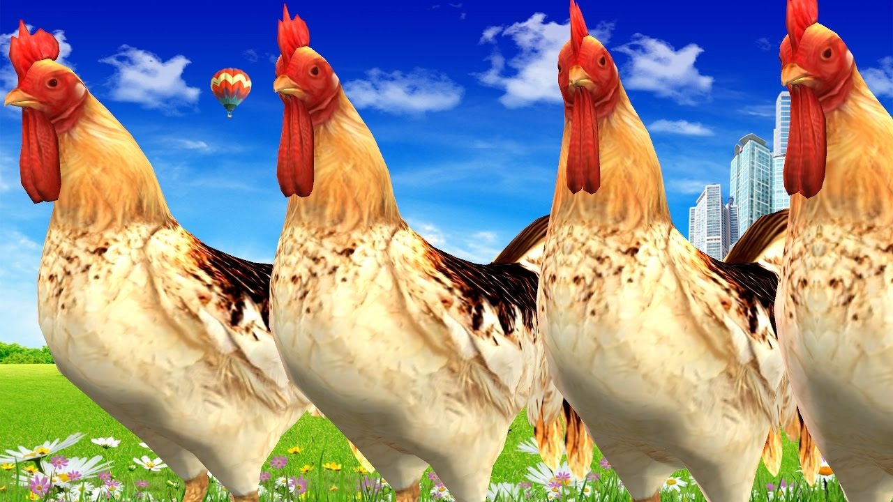 Rooster Finger Family Nursery Rhymes For Kids || Learn Colors For ...