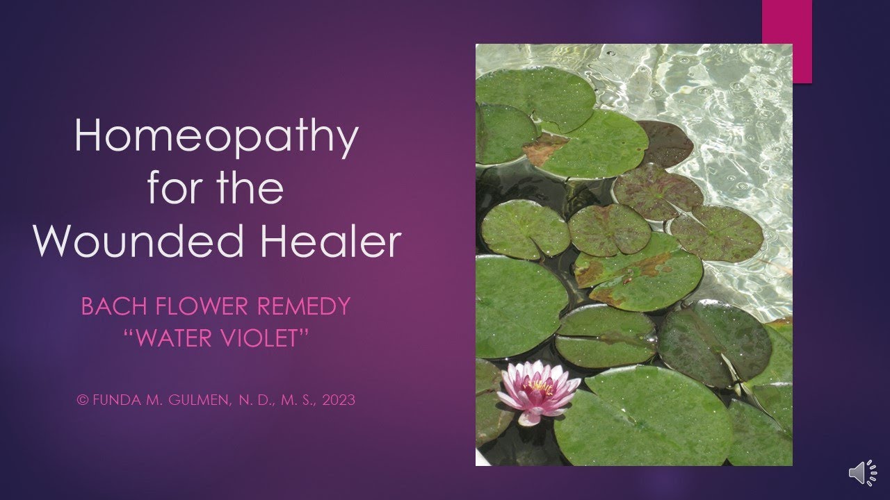 Homeopathy for the Wounded Healer: Bach Flower Remedy "Water Violet ...