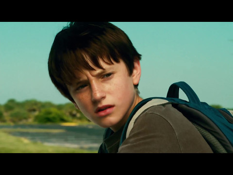 The old man  met the stranded dolphin in the beach and shouted for help to the boy