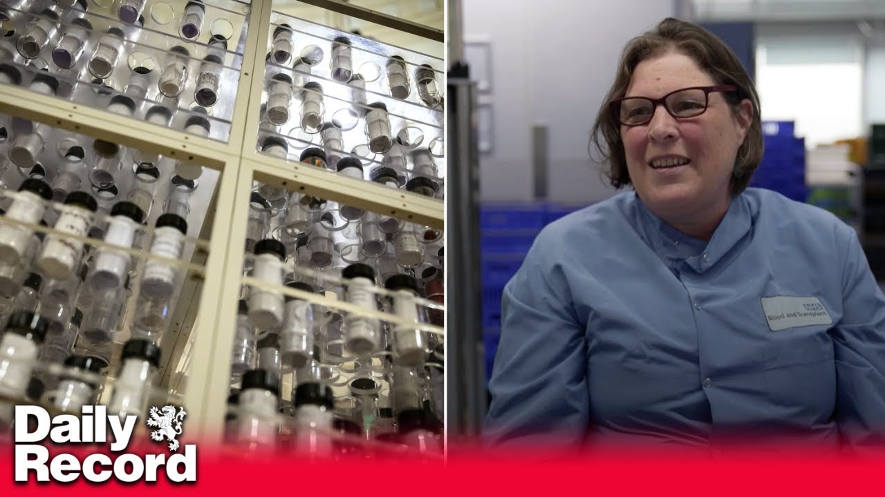 Infected Blood Scandal: NHS Blood and Transplant chief medical officer ...