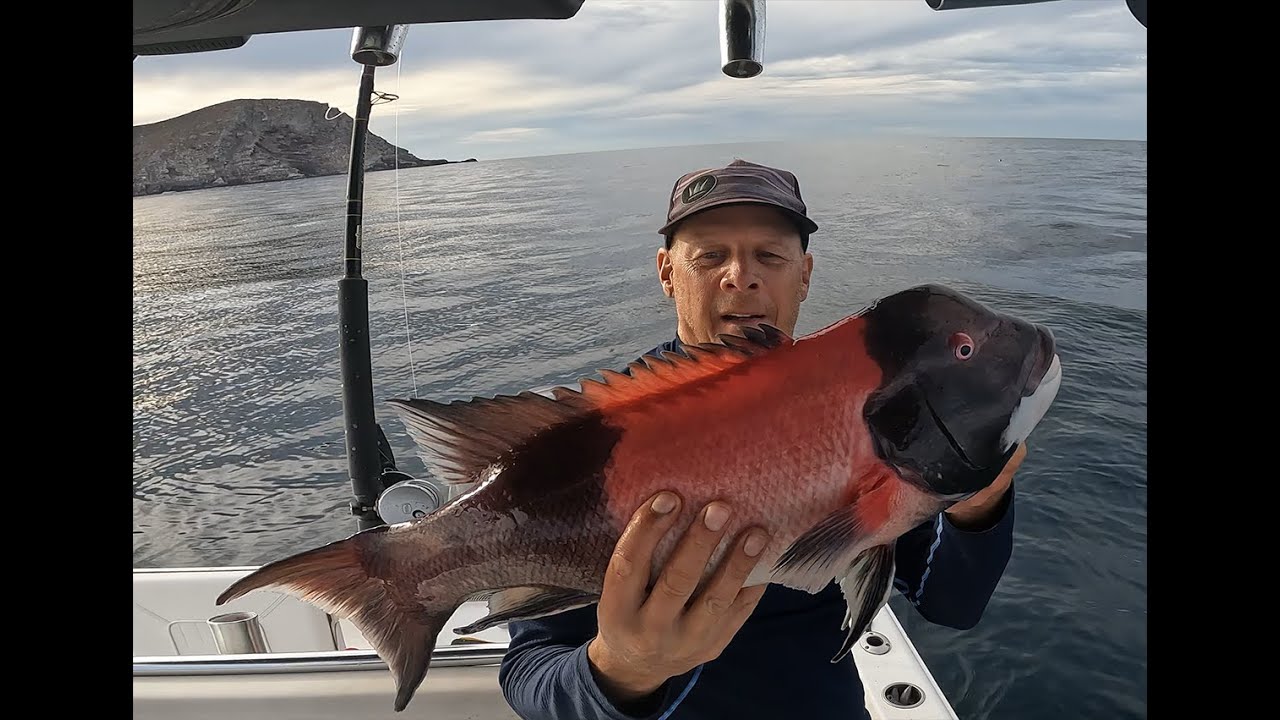 12/17/2023 Coronado Islands Mexico (Sheephead PB, multiple lingcod, and ...