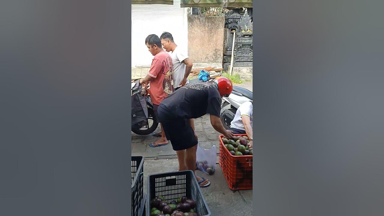 Pedagang Alpukat Ecer Buosssss Youtube