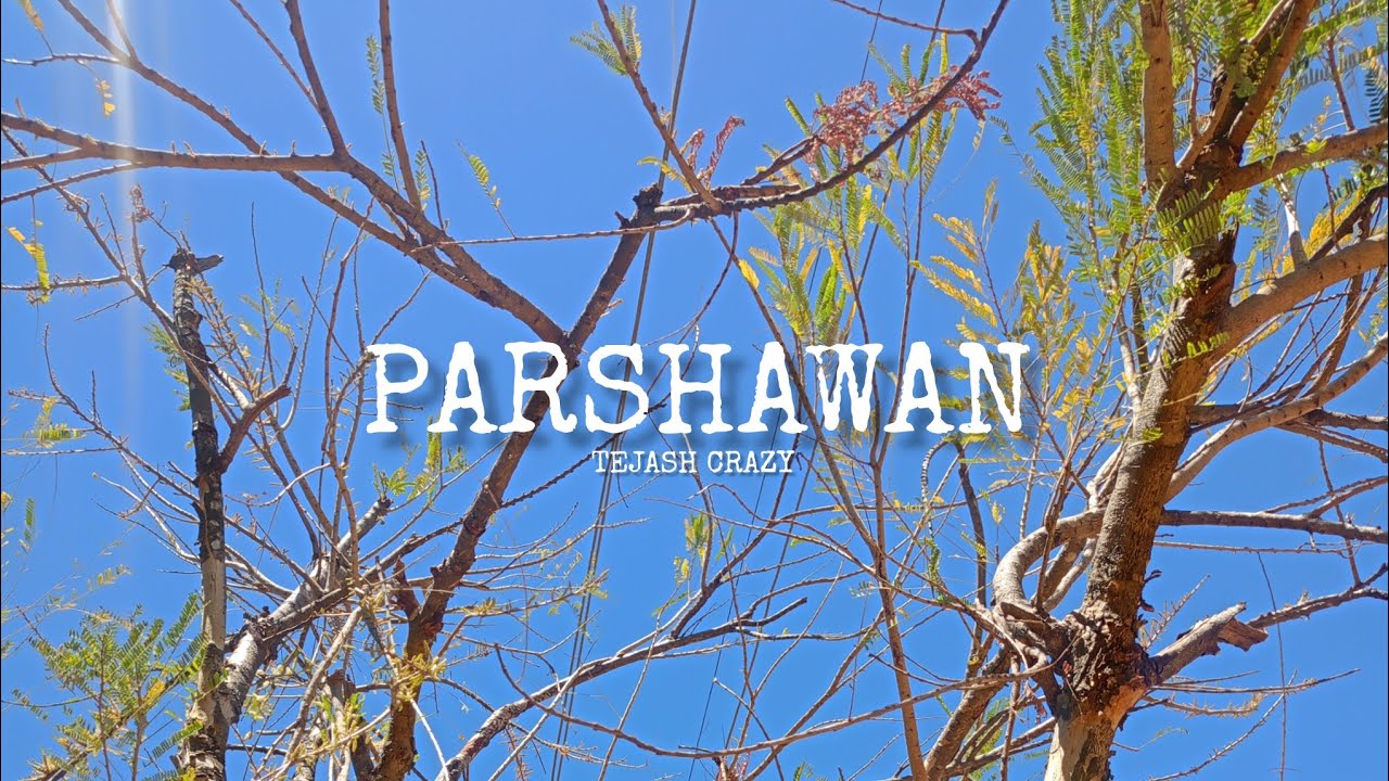 PARSHAWAN - Harnoor(SLOWED+REVERBED) -(Tejash crazy x9) - YouTube