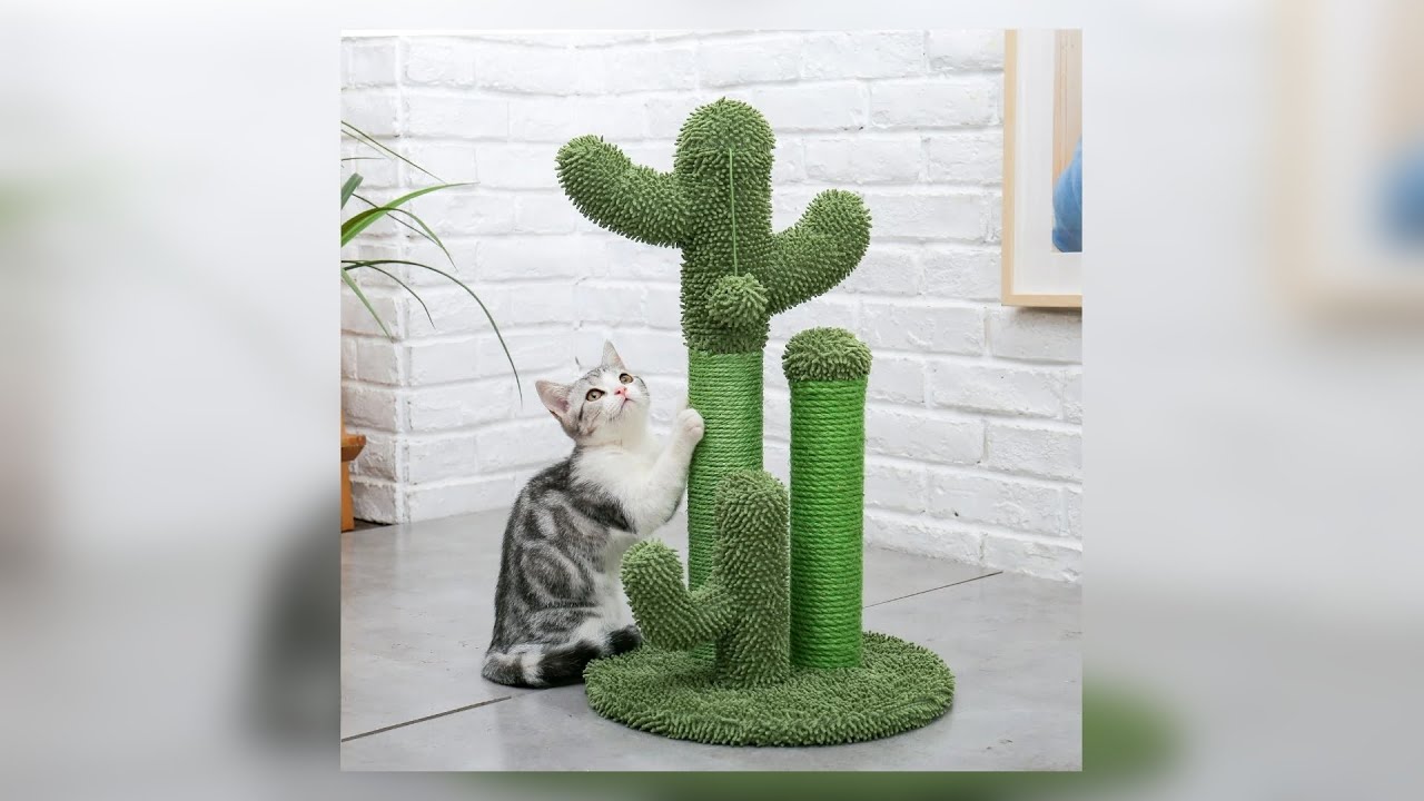 Cute Cactus Cat Tree Toy with Ball AND Scratching Post - YouTube