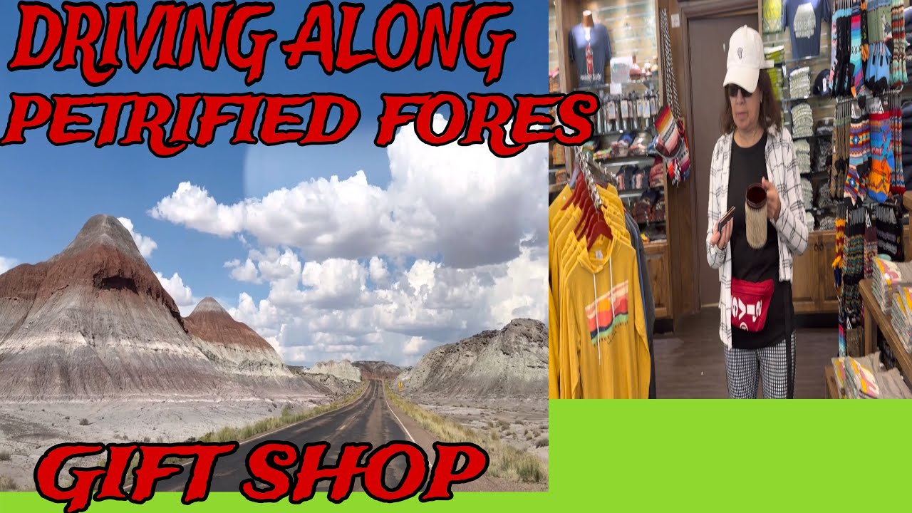 DRIVING ALONG / PETRIFIED FOREST/GIFT SHOP - YouTube