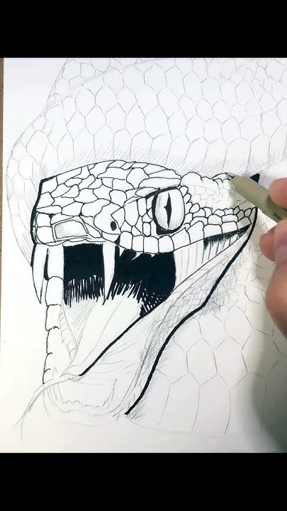Drawing a Snake with ONLY Markers and Pencils Time Lapse #Shorts # ...