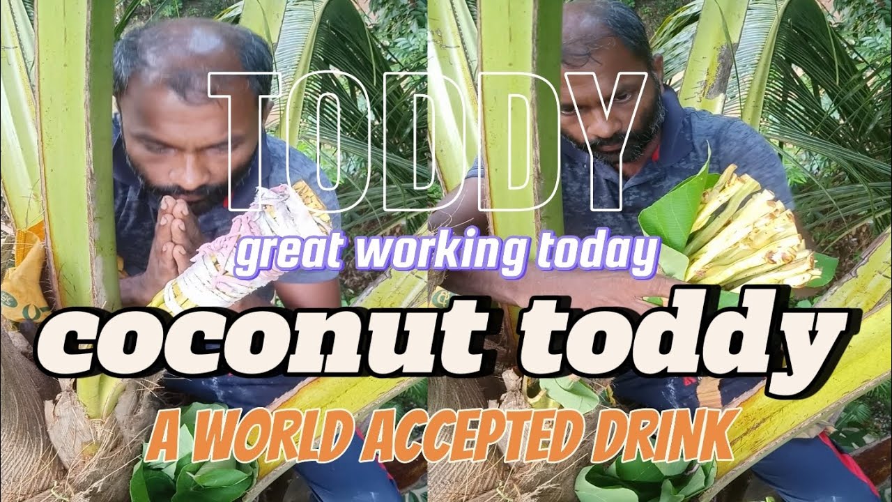 coconut toddy product🌴676🥥New system cutting#viral#coconut - YouTube