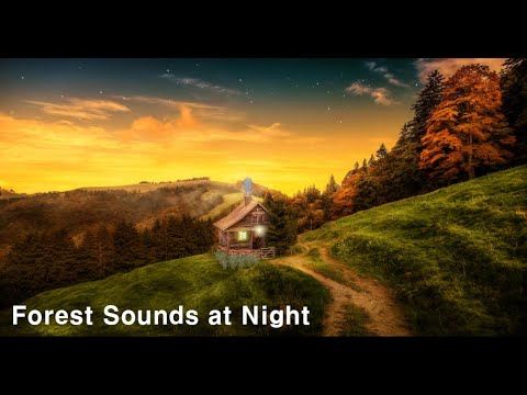 Night Ambient Sounds, forest Sounds at Night, cricket, Sleep and ...