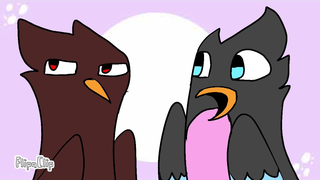 What is logical meme (feather family) - YouTube