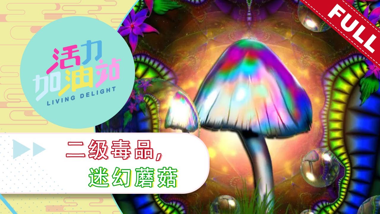 活力加油站 Living Delight (2023) | 2023年5月19日: 二级毒品，迷幻蘑菇 - YouTube