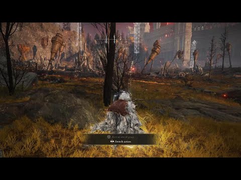 Where To Find Winged Crystal Tear | Elden Ring - YouTube