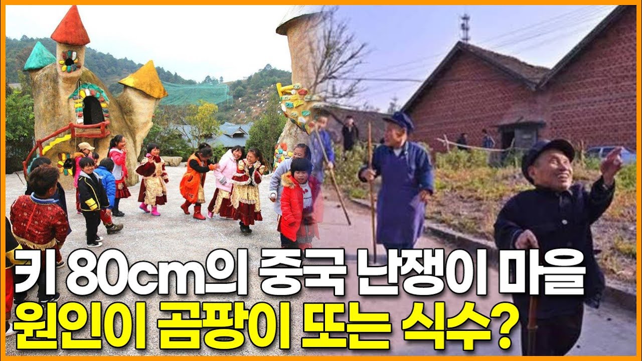 키 80cm의 중국 난쟁이 마을 원인이 곰팡이 또는 식수 Youtube