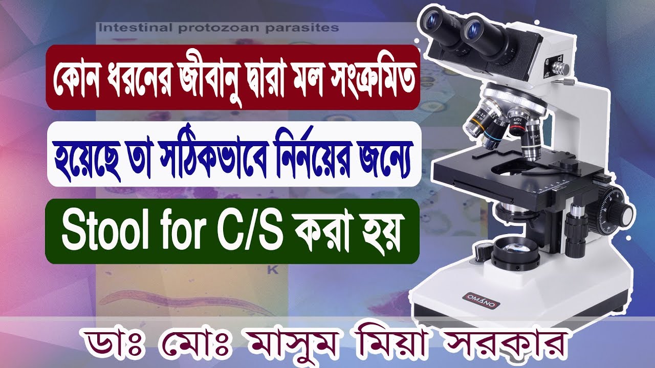 Stool Cs Report Stool C s Report Stool C s stool-cs-report-stool-c-s-report-stool-c-s