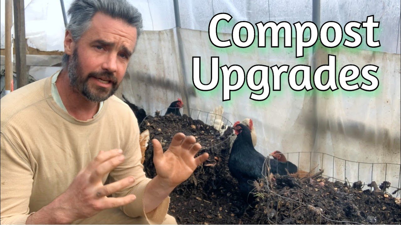 Chicken Compost - Upgrading and deepening design aspects - YouTube