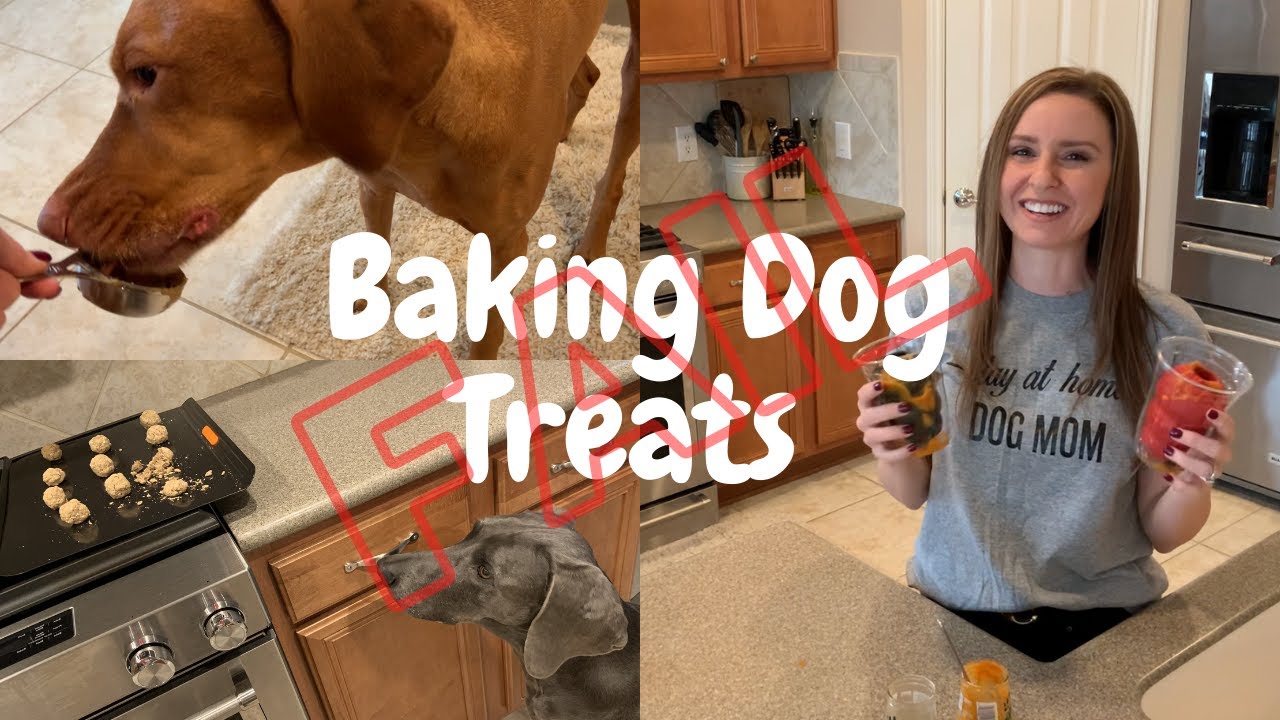 BAKING Dog TREATS with my Dogs, Total FAIL! What Went Wrong? - YouTube