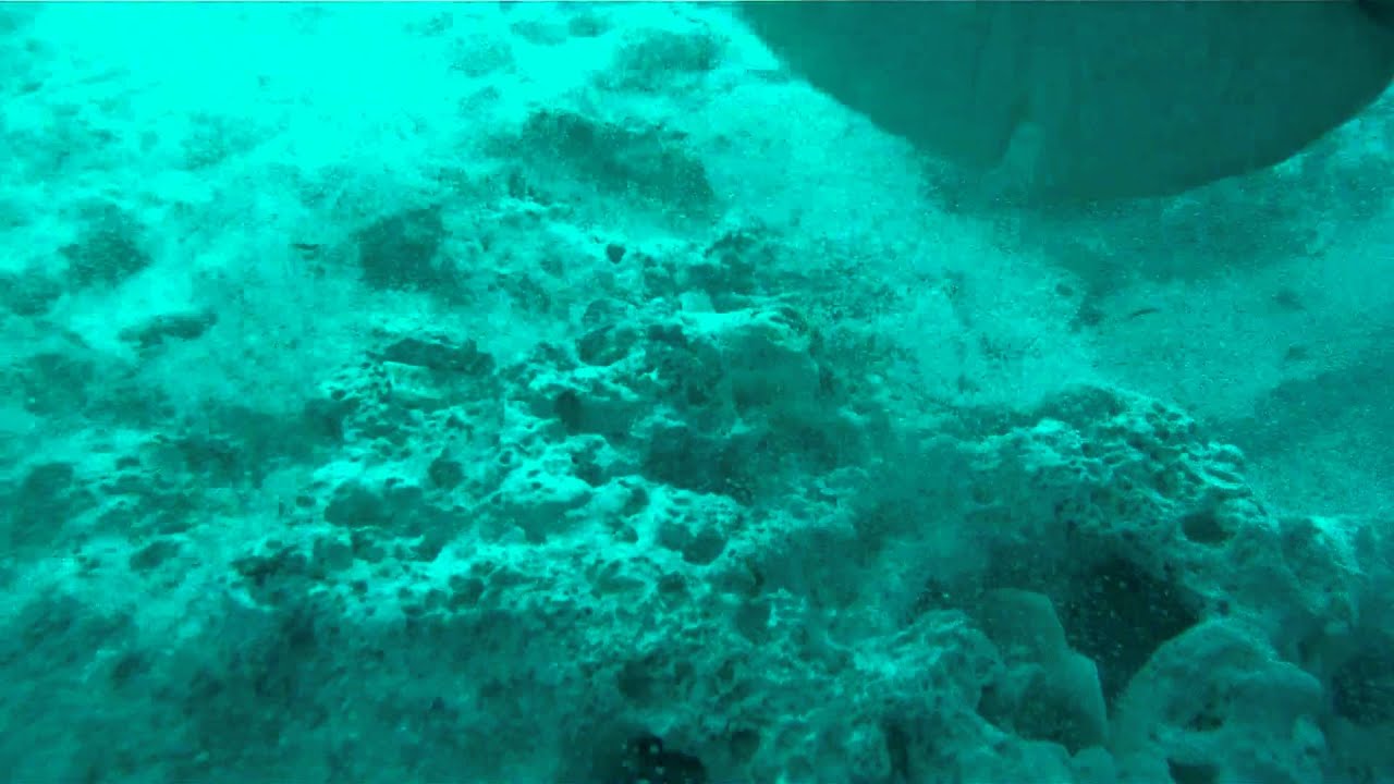 Diving the Atocha - Part 2 - YouTube