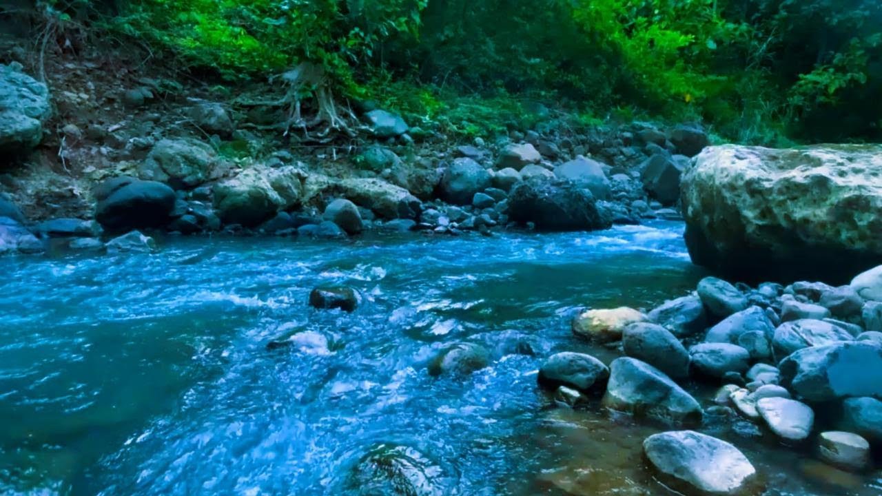 ASMR Flowing River Sounds – Live 24/7 Nature for Insomnia & Anxiety # ...