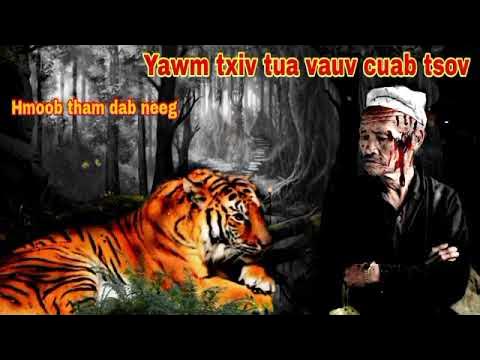 Dab neeg yawm txiv tua vauv cuab tsov..22/9/2022 - YouTube