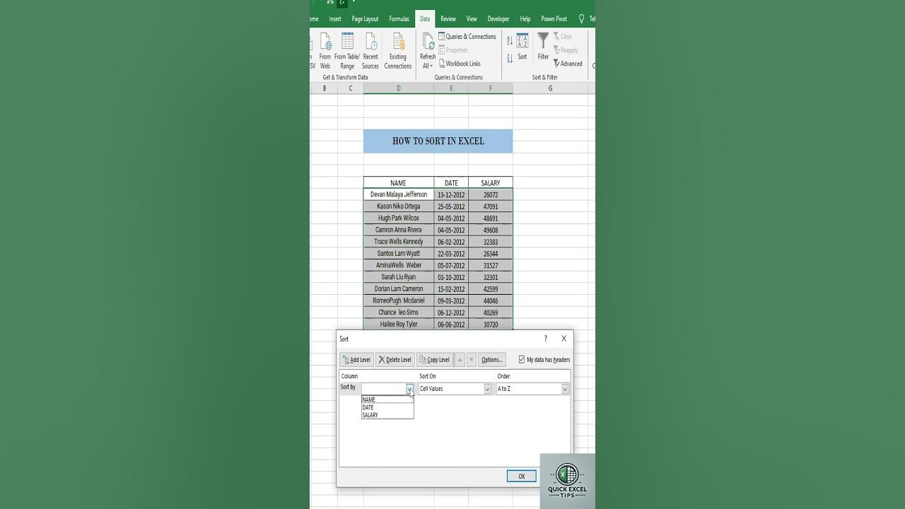 "Master the SORT Function in Excel | Quick & Easy Guide" #excel,#ExcelTips, #ExcelSort,#Excel ...