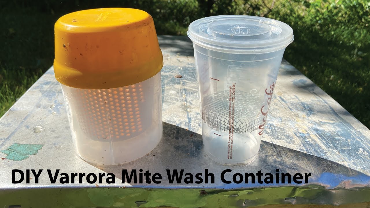 Beekeeping DIY: Varroa Mite Wash Jar for under $5! - YouTube