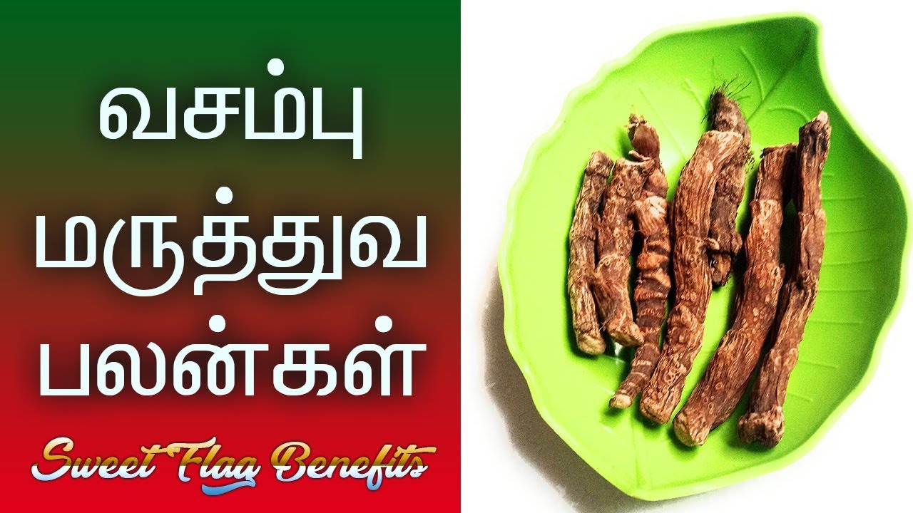 Vasambu benefits in tamil | வசம்பு மருத்துவ பயன்கள் | Sweet Flag ...