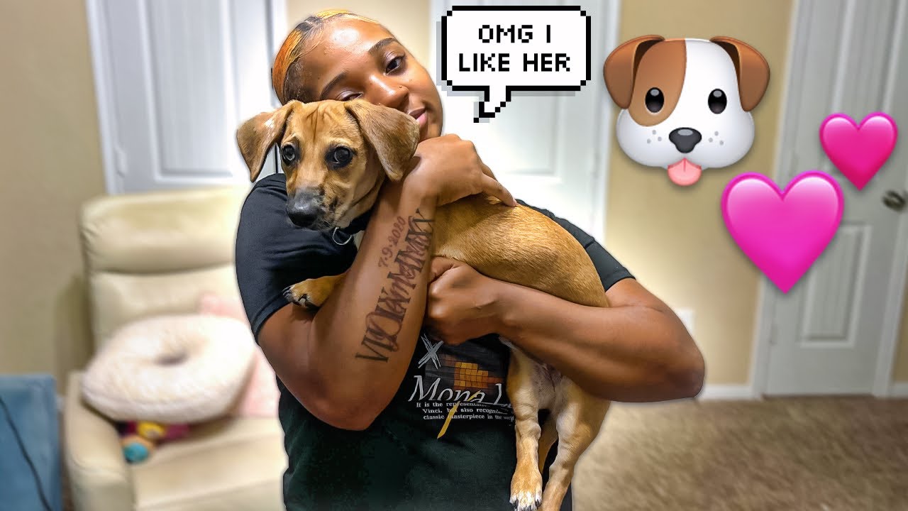 I Bought Cece A Dog And She Did This😔…*Must Watch* - YouTube