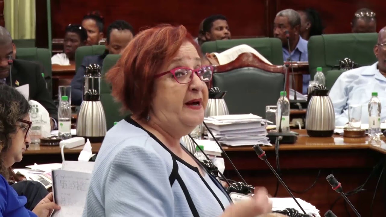 Hon. Gail Teixeira's contribution to the Budget 2019 Debate. - YouTube