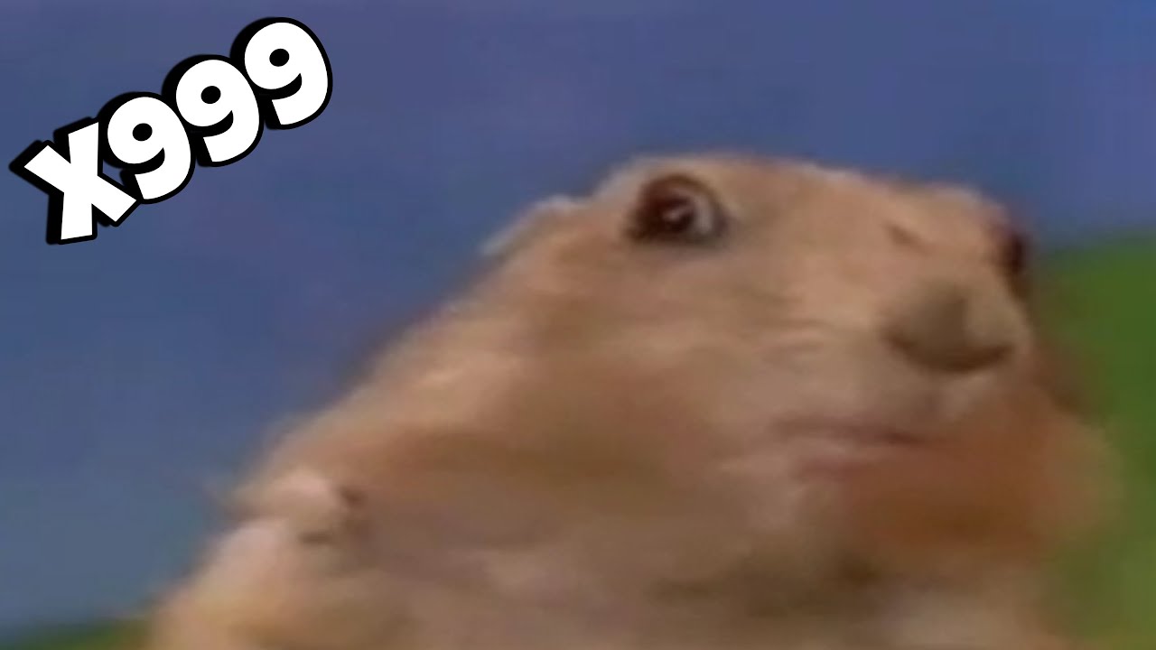 Dramatic Look meme - Speed X999 - YouTube