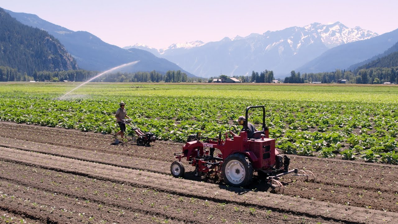 Farming At Laughing Crow Organics - The Crow's Perspective - YouTube