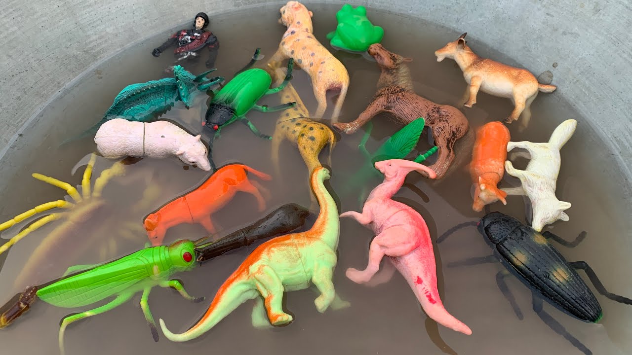 Plastic animals collection with water loin zebra wolf elephant tiger ...