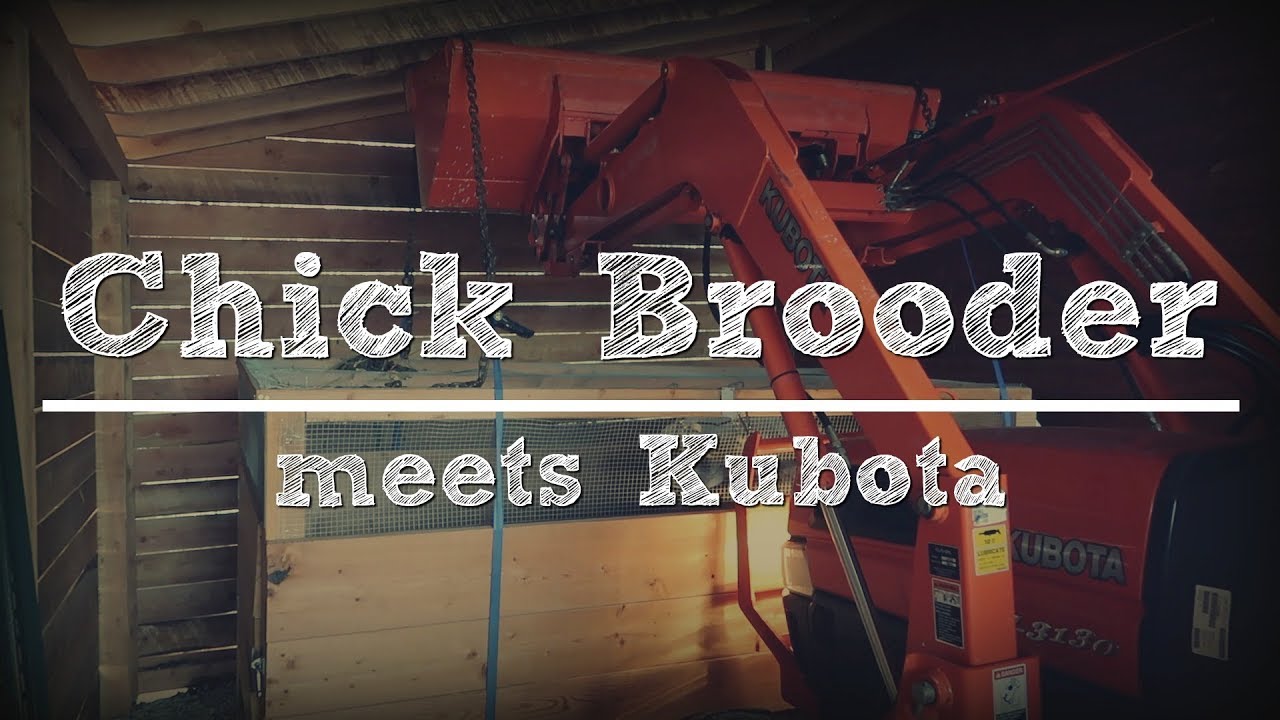 Preparing the Brooder for Chicks: Moving Chicken Brooder with Kubota ...