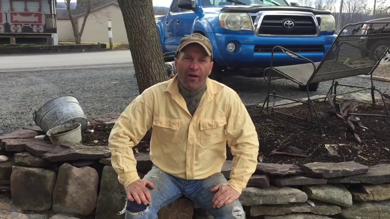 Birdhouse Commercial - YouTube